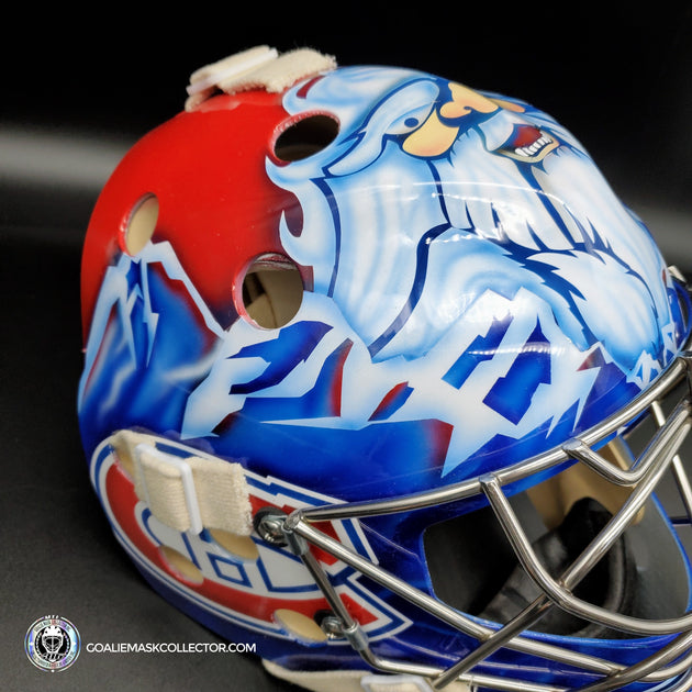 David Aebischer Goalie Mask Unsigned Montreal License Plate Tribute ...