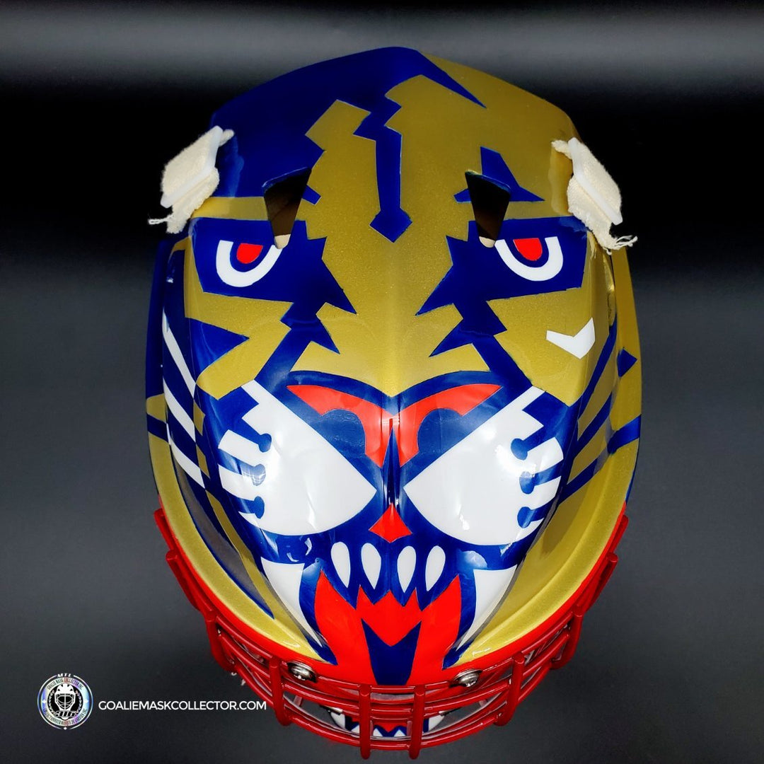 vanbiesbrouck mask